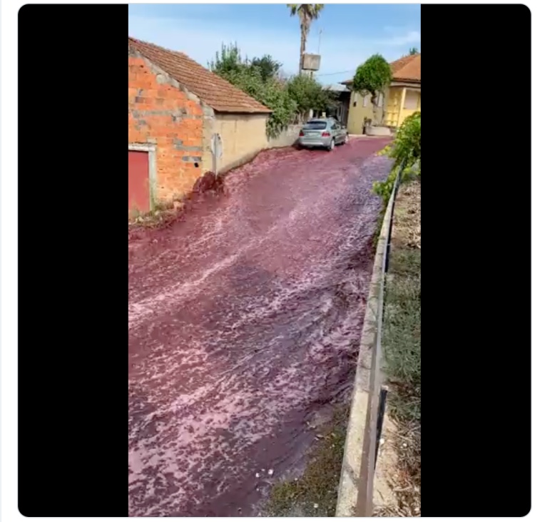 Red Wine Floods Portugal Town as Winery Tank Explodes 2023