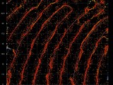 Research Generative Pattern Laura Civetti