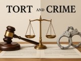 Difference Between Tort And Crime