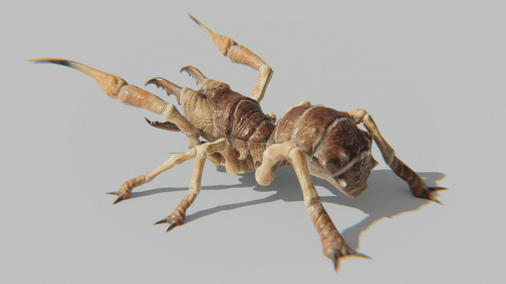 Giant camel spider 3d model / game asset... - 3d Game Assets by Leo ...