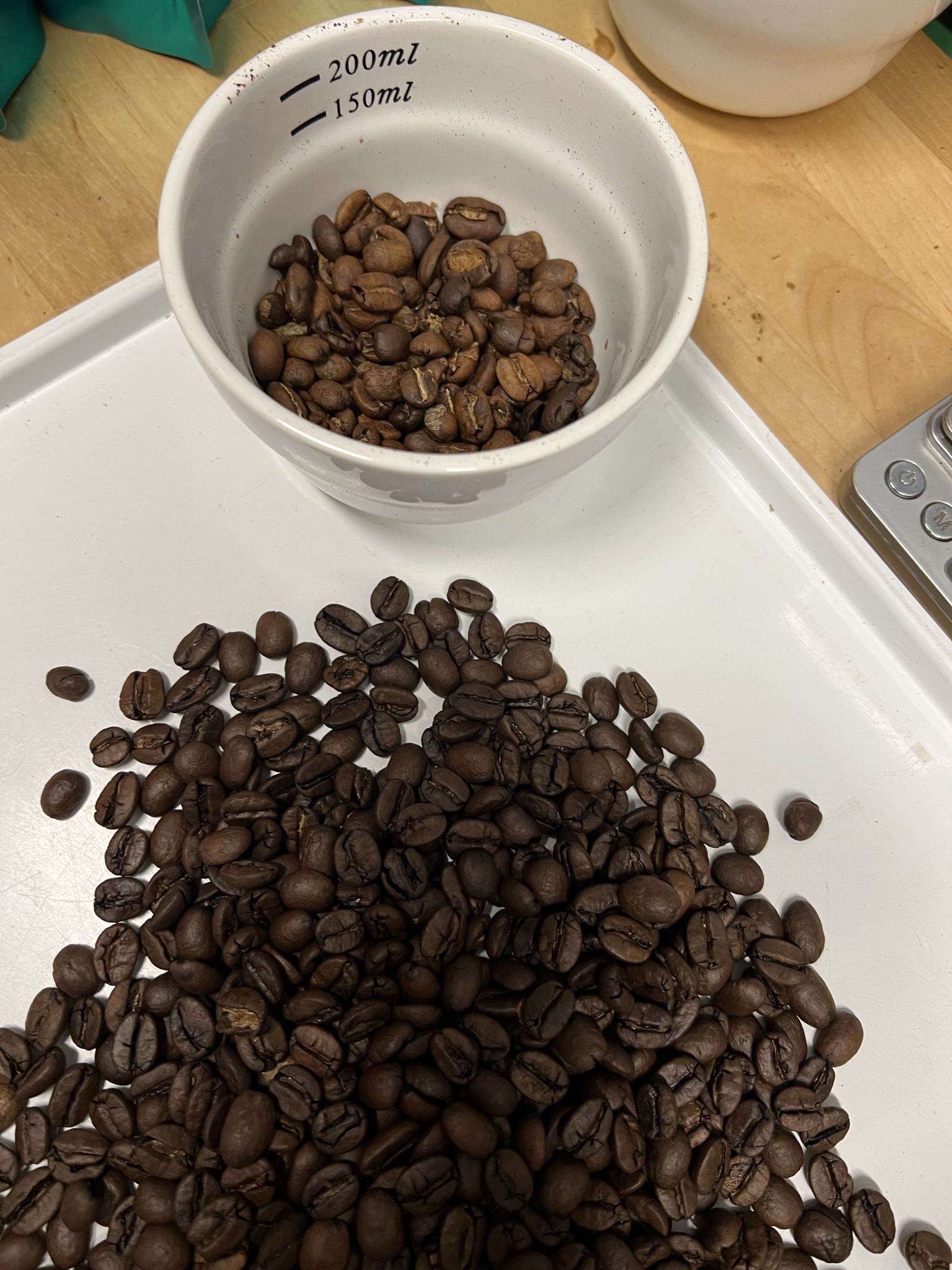 The Roasting and Roaster - LCC Roastery