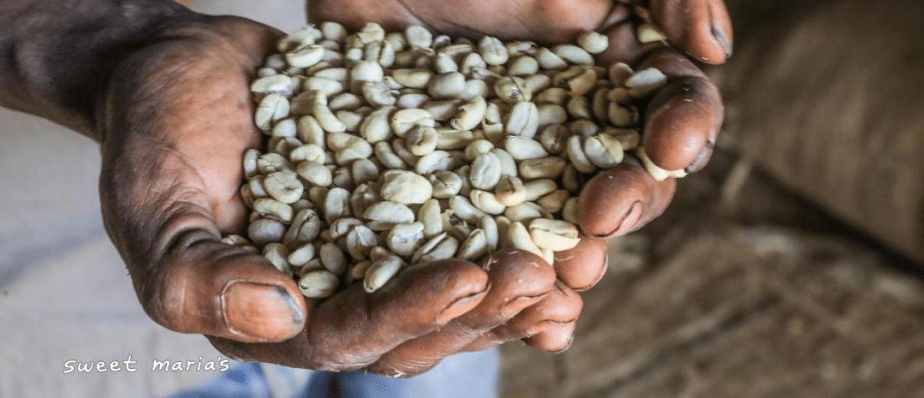 Ethiopia Dry Process Yirga Cheffe Mengesha Farm - LCC Roastery