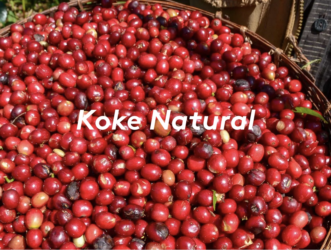 Ethiopia Yirgacheffe Koke Natural - LCC Roastery