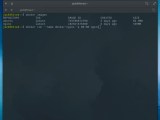 5 Essential Tools For Linux Development Linux