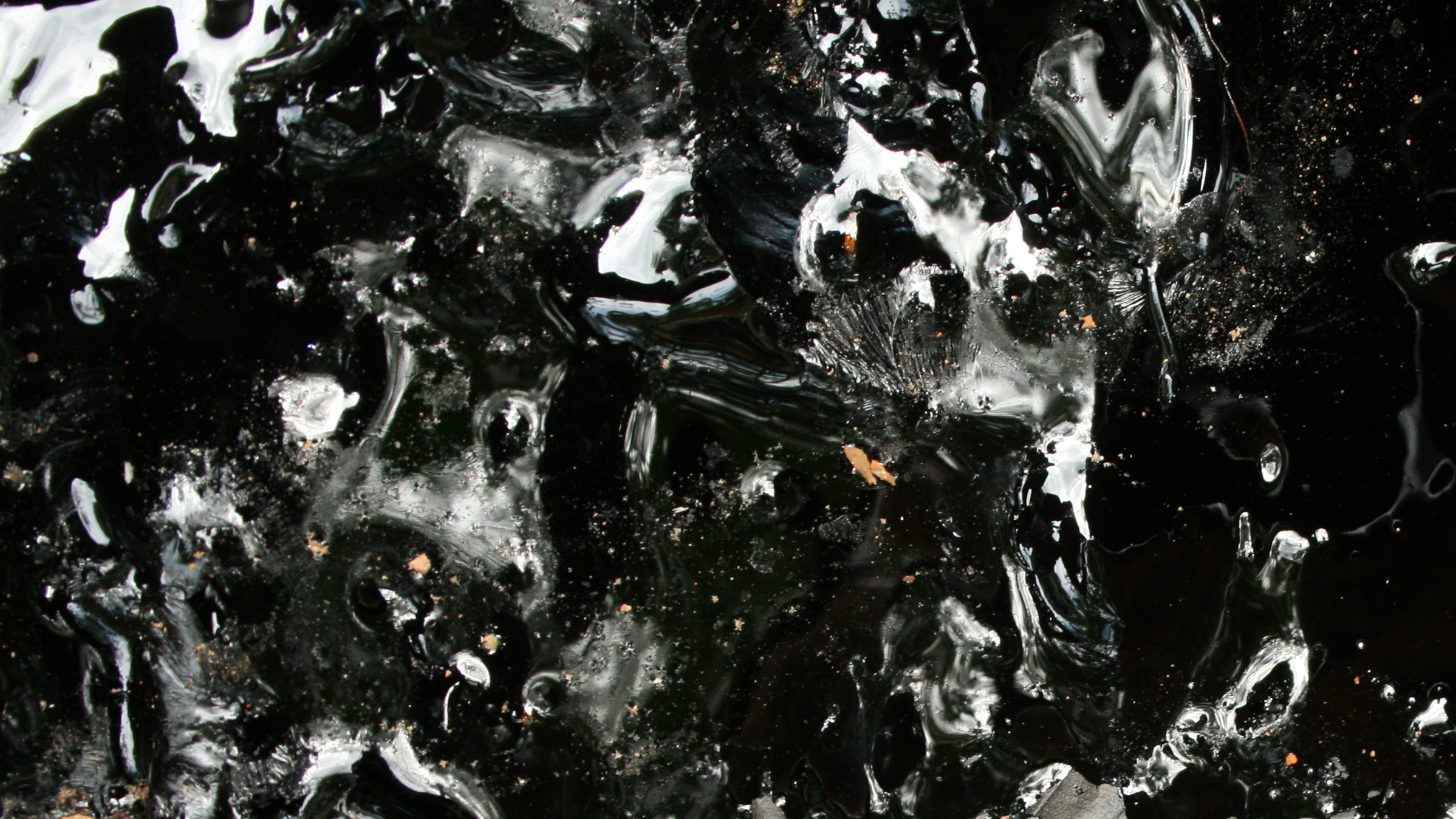 Case Study: Concentration of Polynuclear Aromatic Hydrocarbons (PAH) in ...