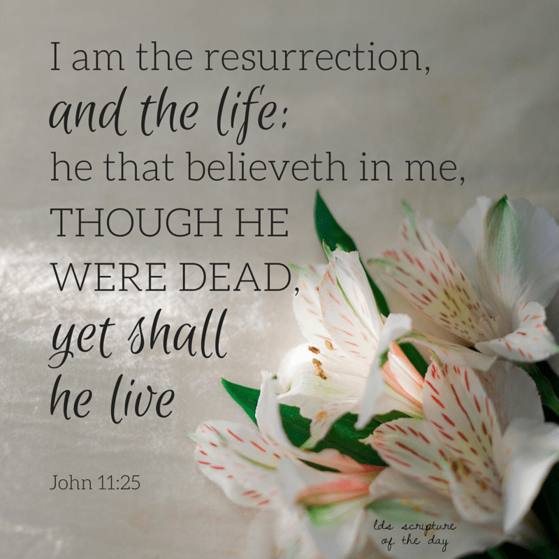 John 11 25 Lds Scripture Of The Day
