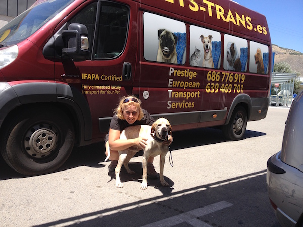 Testimonial: Lynda Cooper, UK - Leadchanges