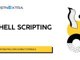 Introduction To Shell Scripting A Beginner Guide Hostnextra