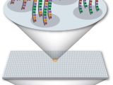 Dna Microarray