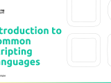 Topic 3 Basic Scripting For Test Automation Coding Temple Flexible