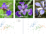 Iris Clustering Dashboard Genie