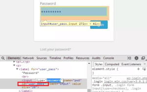 How to Automate Filling In Web Forms with Python - Learn to code in 30 Days!
