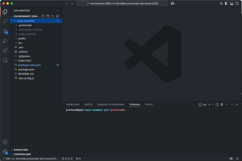 Connect Visual Studio Code Protocode Documentation - Vintage Photo Collection - HD Quality