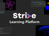 Strive Learning Platform