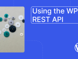 Using The Wp Rest Api Learn Wordpress
