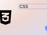 Css Learn Wordpress
