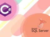 C Programming Course Sql Server Training Learn At House