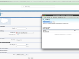 Setup Oauth2 Client For Salesforce Dev Env For Api Testing Using Curl