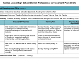 Big Moves Professional Learning Plan