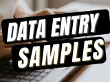 Data Entry Sample Work For Beginners Learners World Advance Your