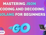 Mastering Json Encoding And Decoding In Go For Beginners Learn Go
