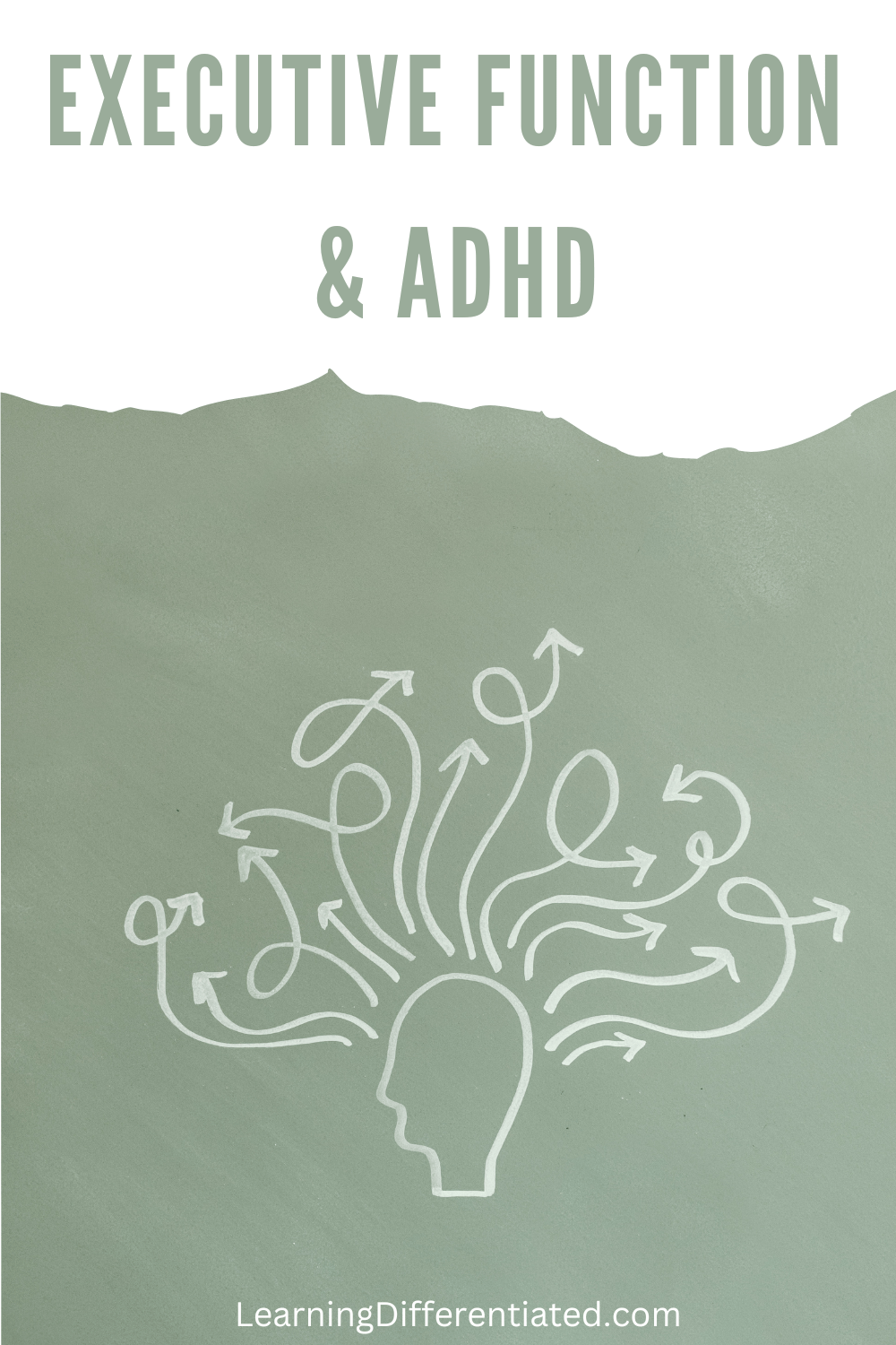 Executive Function and ADHD - Learning Differentiated