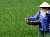 Ilo Training Programmes Our Coop