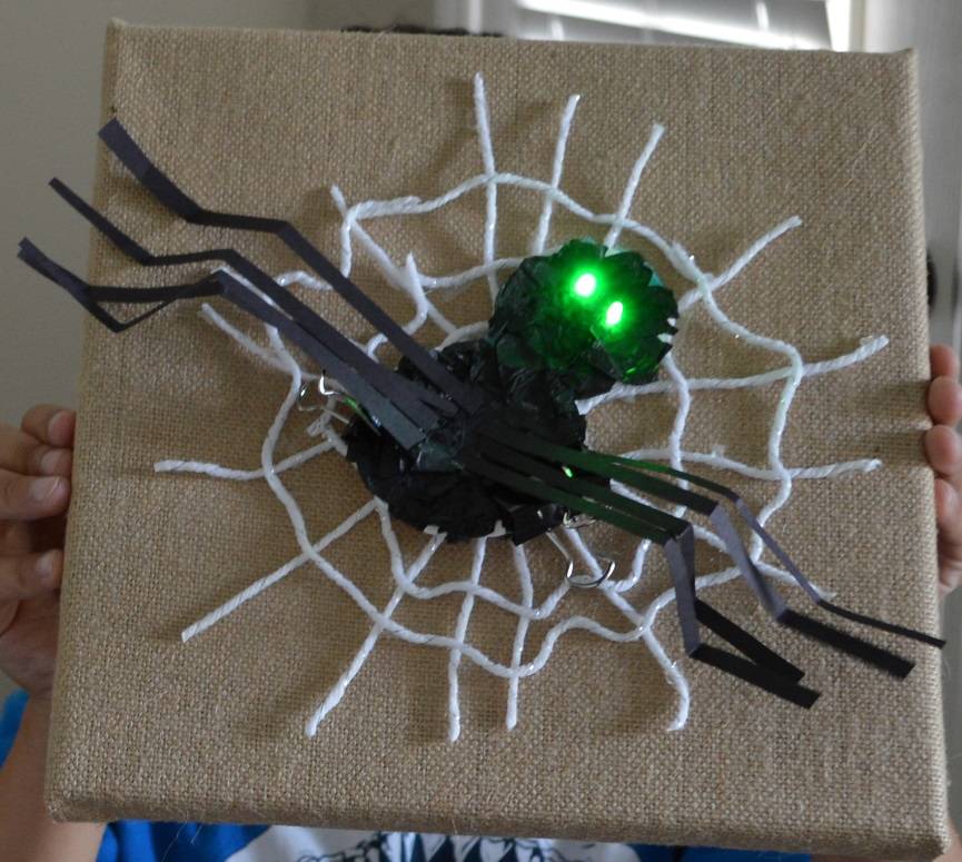 STEAM Week: Spider Webs