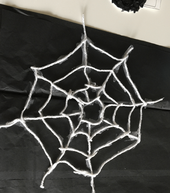 STEAM Week: Spider Webs