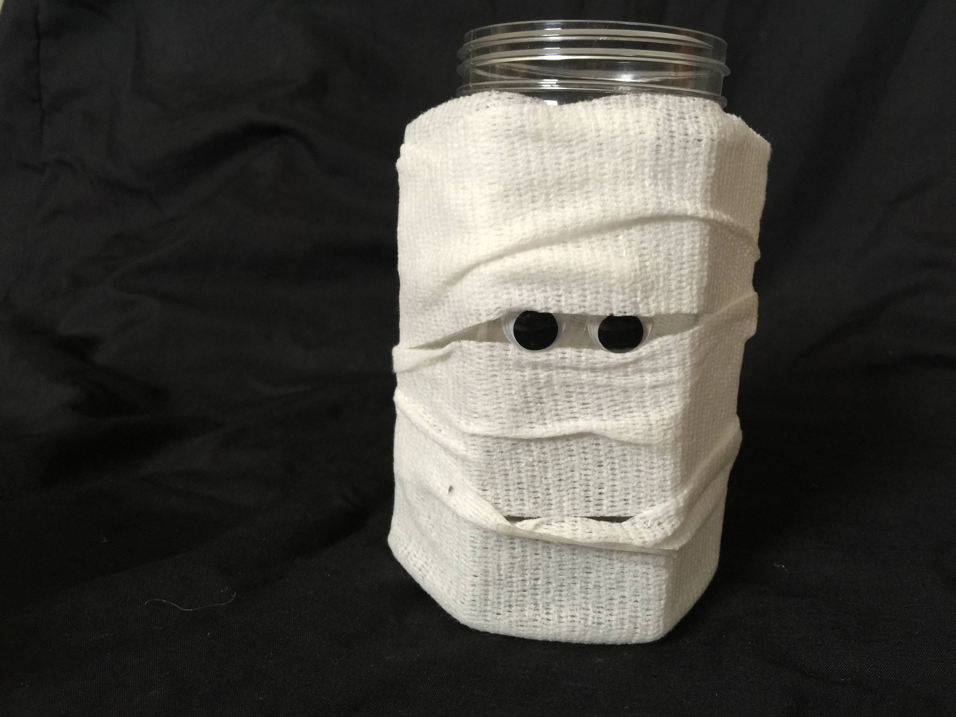 Where's My Mummy? Book and Craft Tutorial