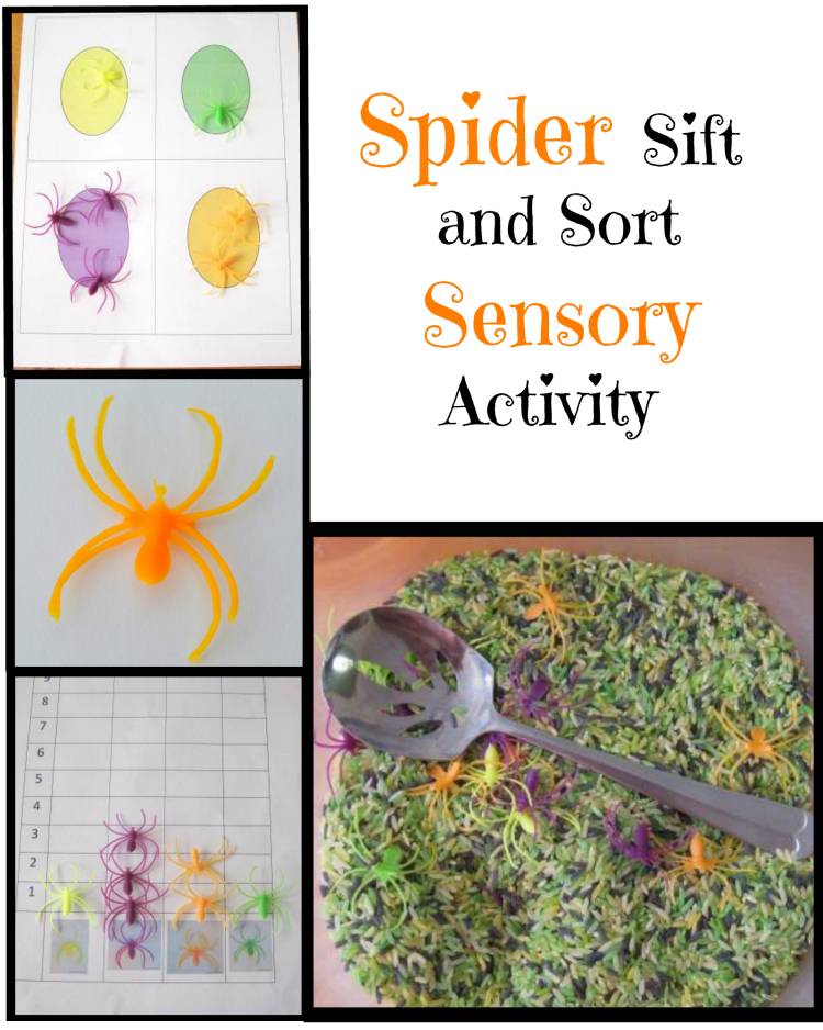 Spider Sifting and Sorting a Halloween Sensory Bin