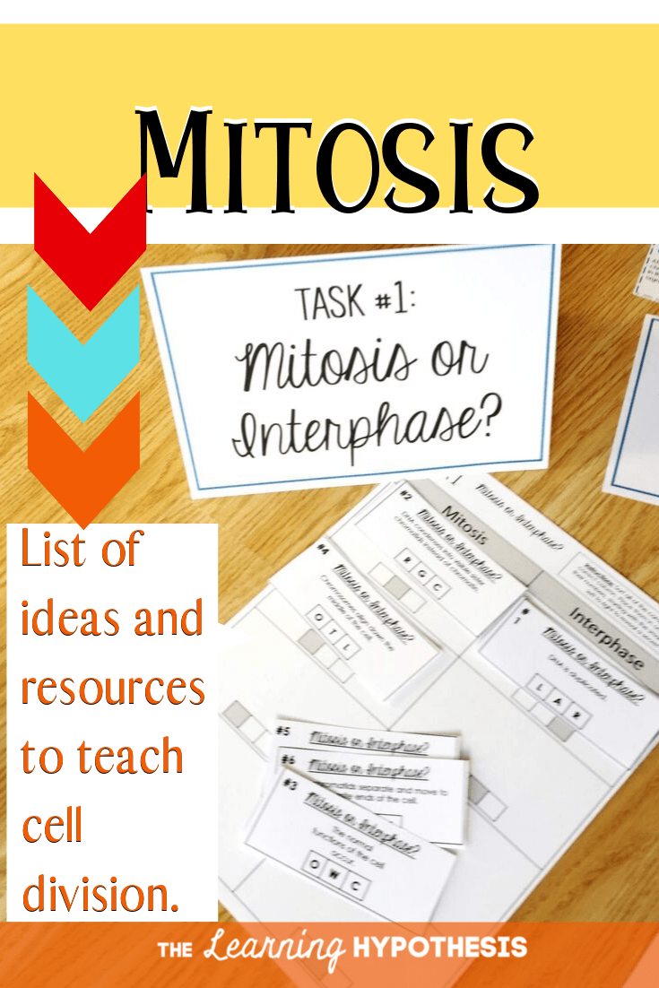 Fun Ways to Teach Mitosis. Middle School and High School Ideas