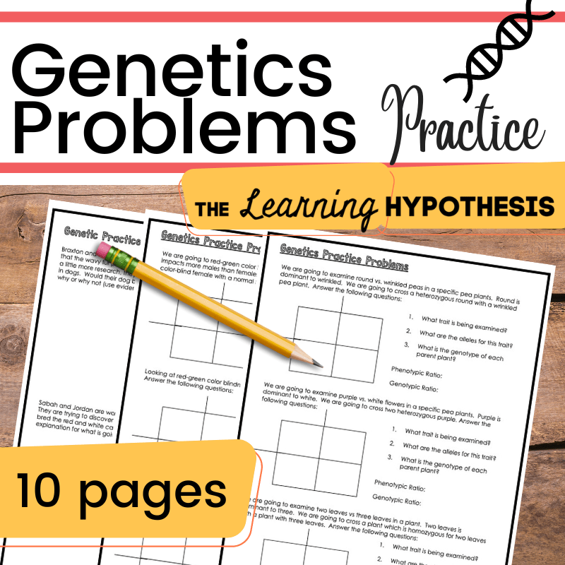 Genetics Practice Problems The Learning Hypothesis 3874