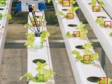 Object Recognition Using Deep Learning How It Works