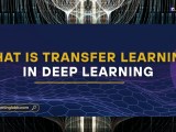 What Is Transfer Learning In Deep Learning How It Works