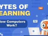 How Computers Work Learningmole