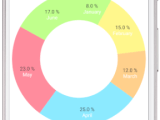 Pie Chart In Android Learn Programming With Real Apps