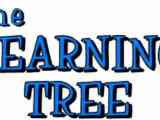 The Learning Tree Daycare