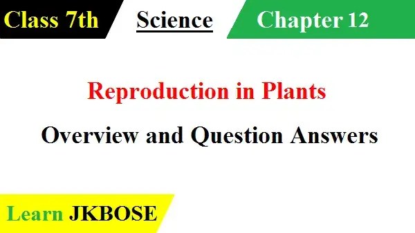 Reproduction in Plants Class 7 Question Answers - Learn JKBOSE