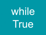 While True Python