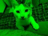 Python Image Editing Challenges Python