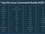 Systemコマンド Linux Linux システム終了 コマンド Wlnm