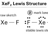Xef2 Lewis Structure Learnool