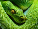 5 Best Python Ides For Data Science Learnpython