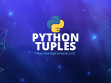 Python Tuples Learn Python Easily