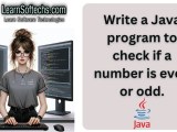 Coding Interview Learn Software Technologies