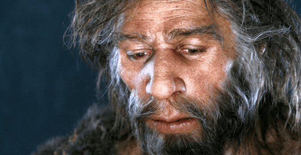 Physical Size of Neanderthals – Learn Something Interesting