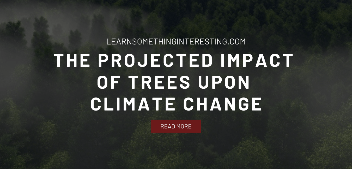 The Projected Impact of Trees Upon Climate Change - Learn Something ...