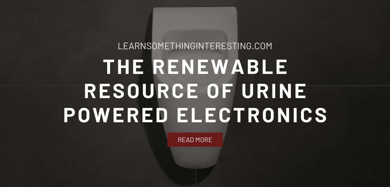 Learn Something Interesting: The Renewable Resource of Urine Powered ...
