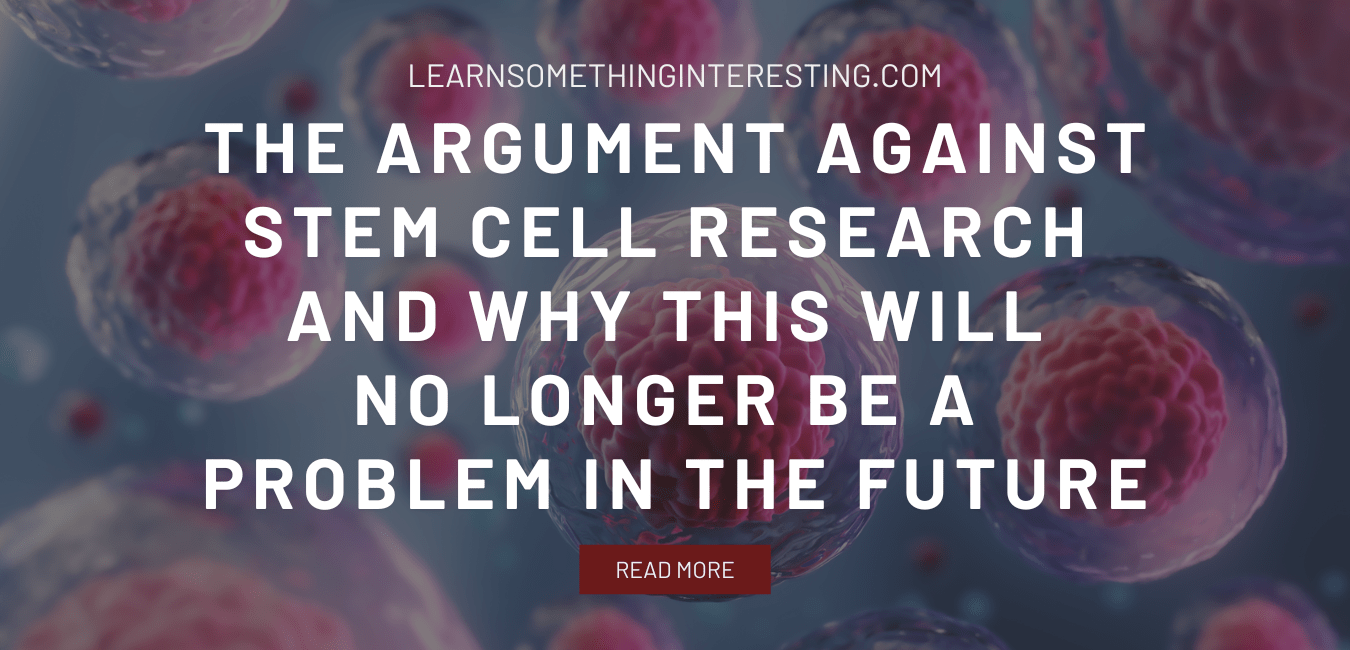 Learn Something Interesting: The Argument Against Stem Cell Research ...